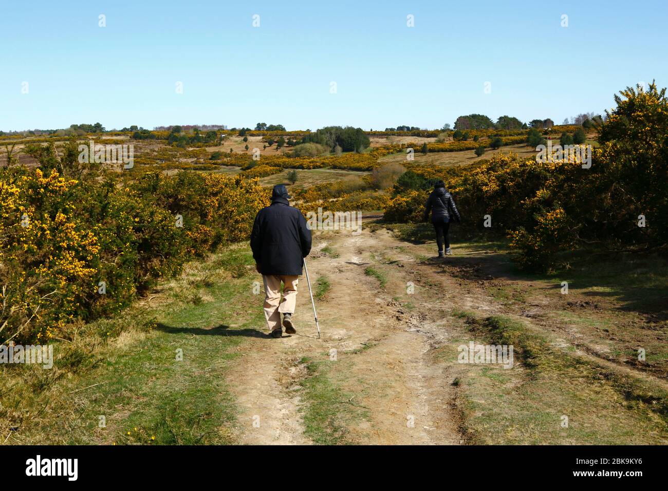 Hiking hikers people forest hi-res stock photography and images - Alamy