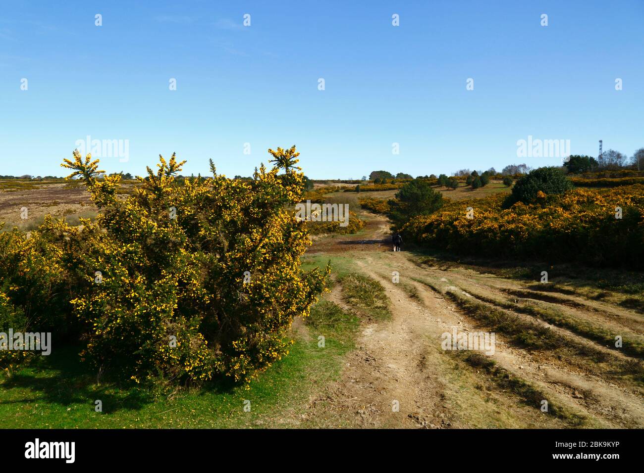Wealdway east sussex hi-res stock photography and images - Alamy