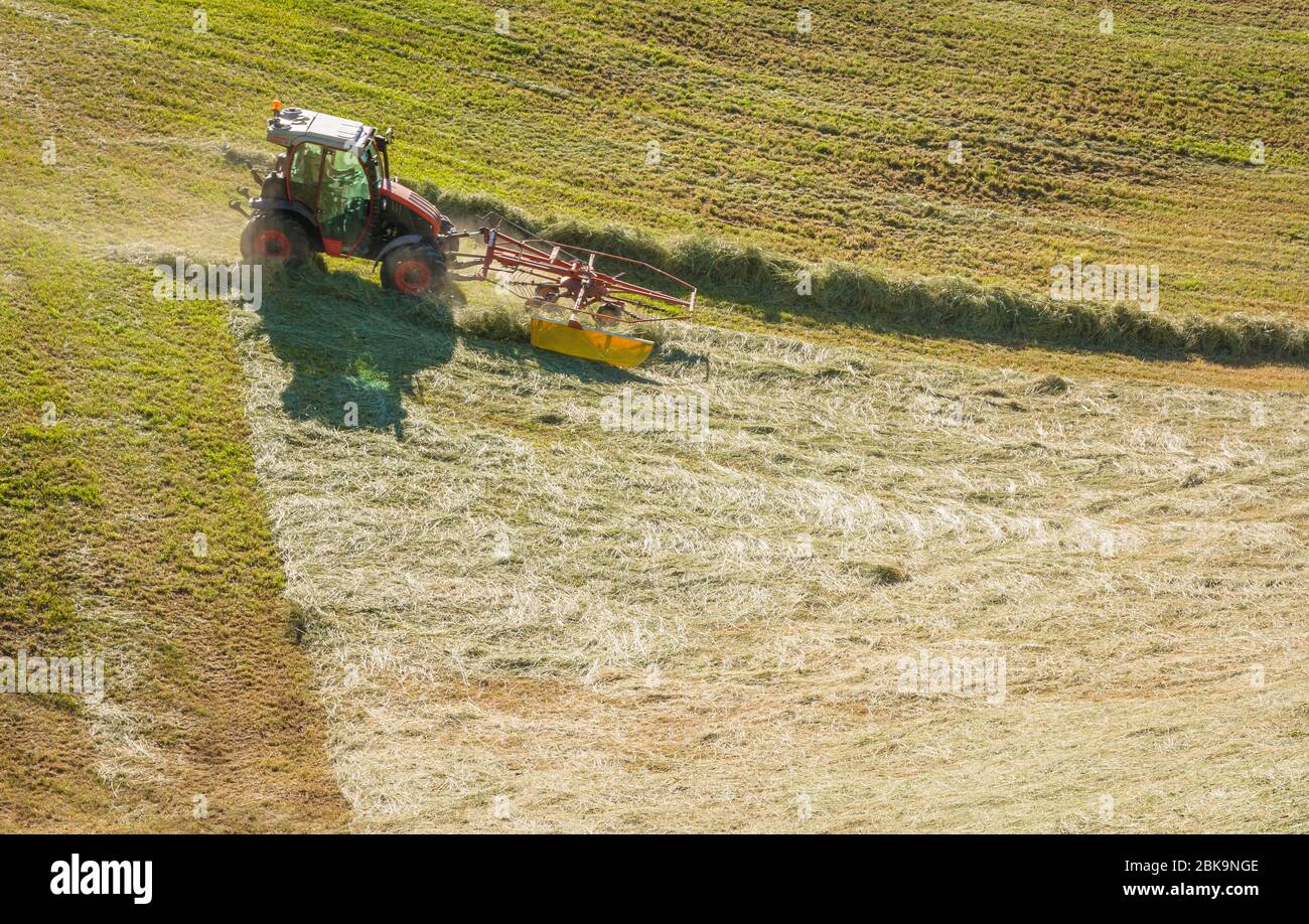 Hay making haymaking hi-res stock photography and images - Alamy