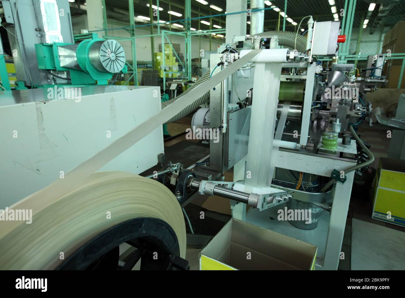 Manufacture of a natural shell for sausage. Collagen shell for sausages ...