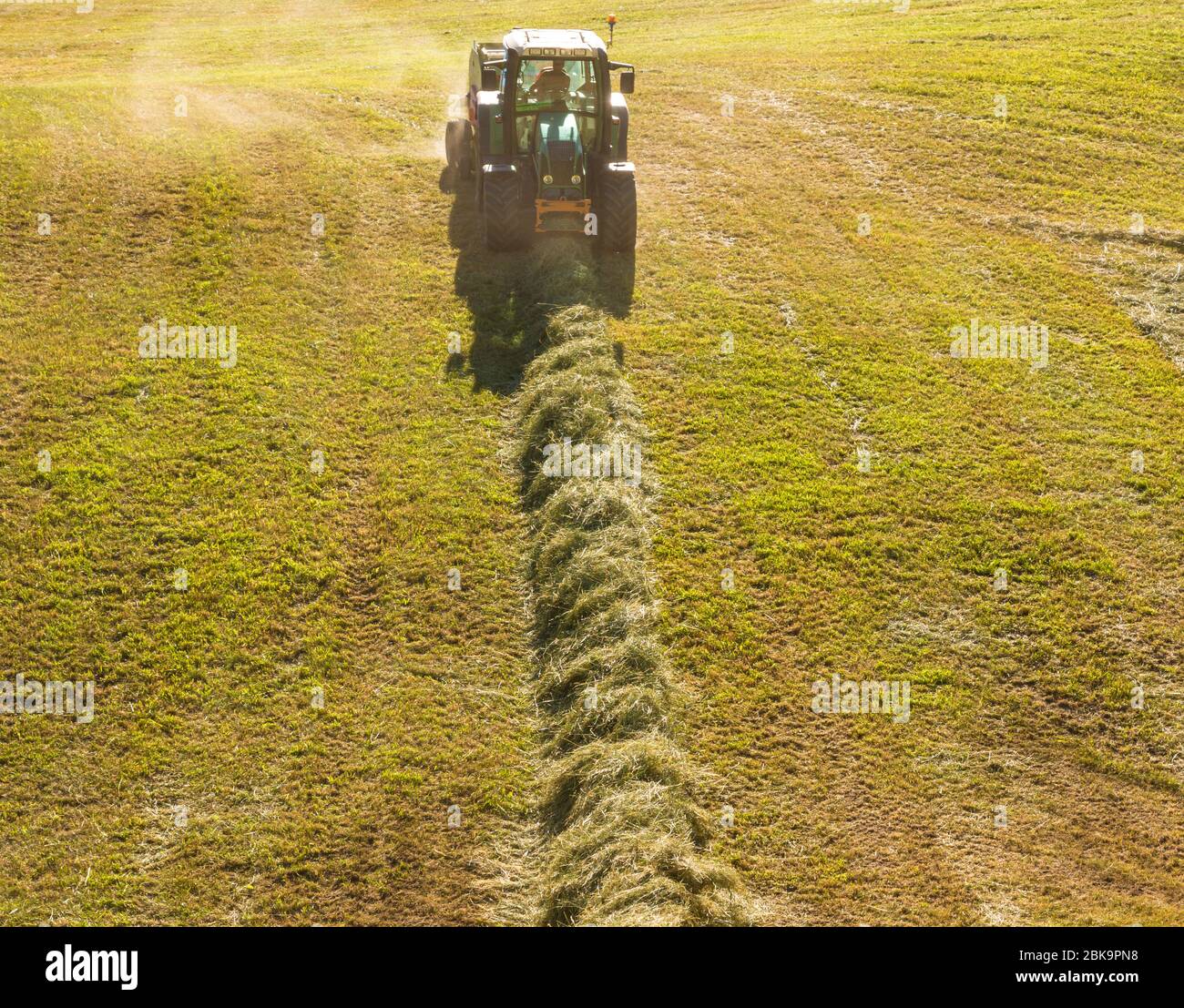 Haymaking : A tractor tedding a freshly cut meadow. - South Tyrol ...