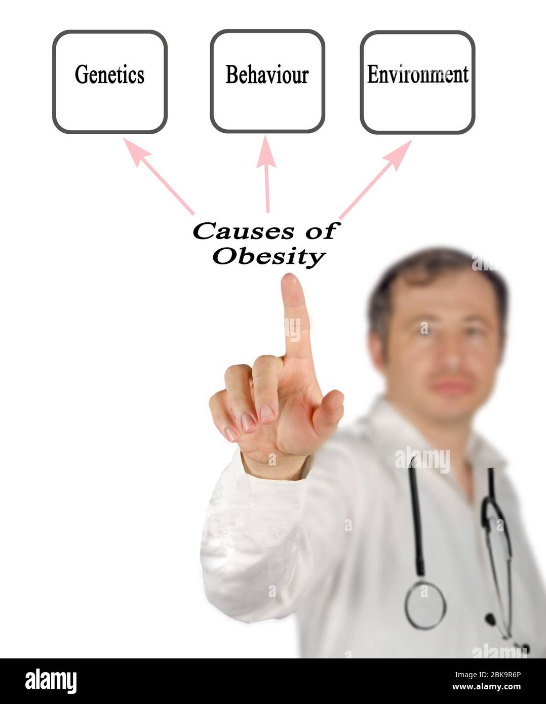Three Cause of Obesity: Genetics, Behaviour, Environment Stock Photo ...