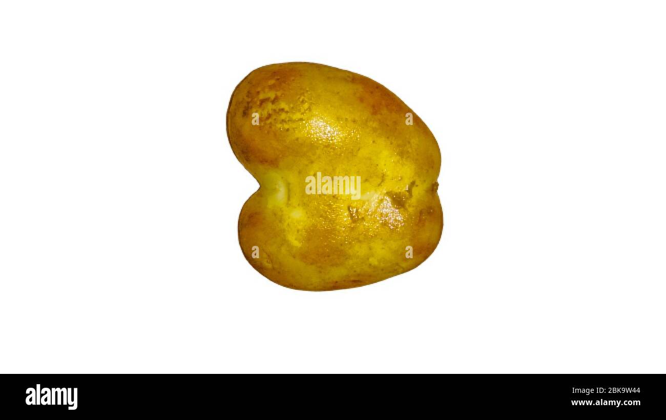 A picture of potato Stock Photo - Alamy