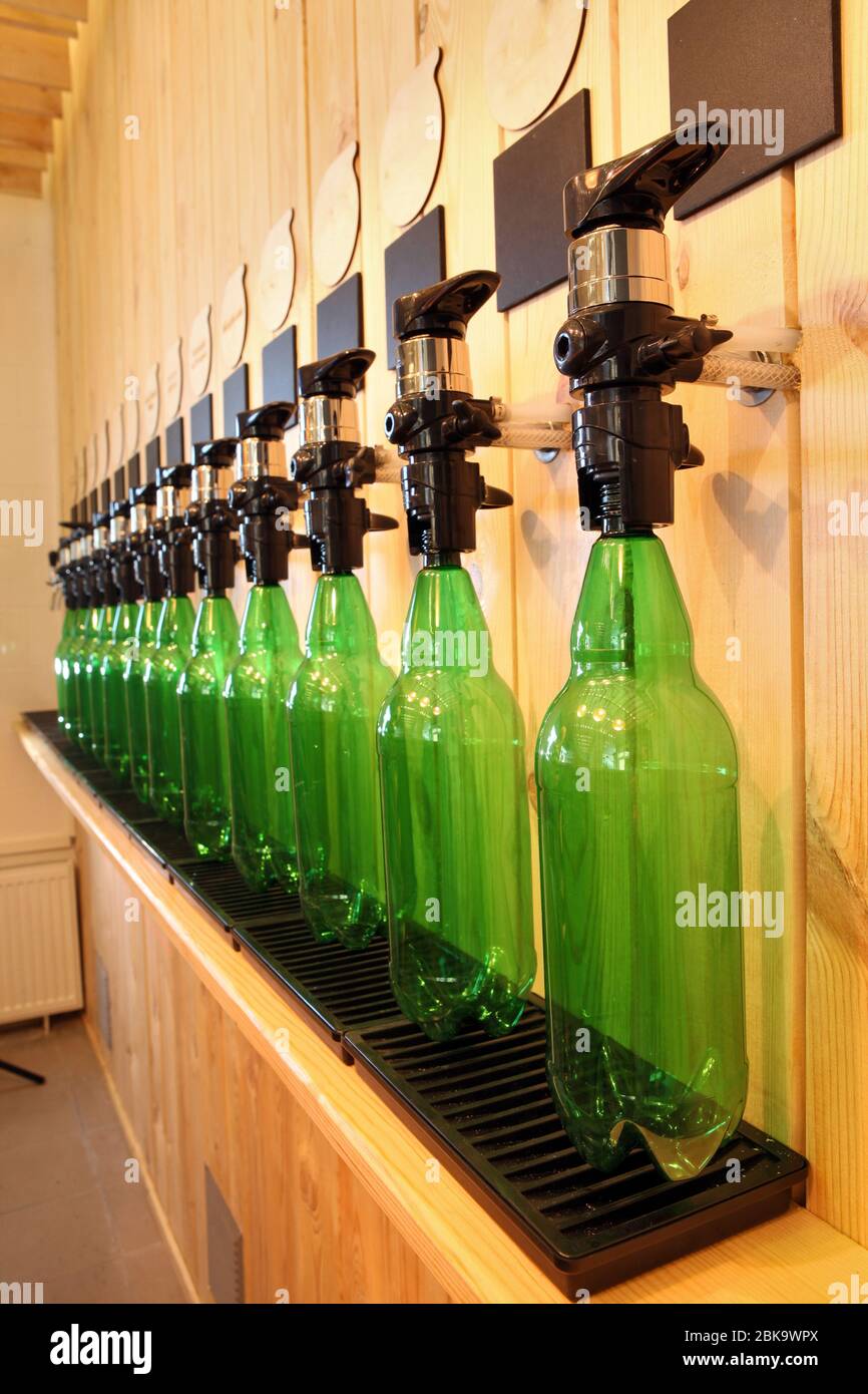 Large simultaneous spilling beer in the bar. The bar of wood. Wooden ...