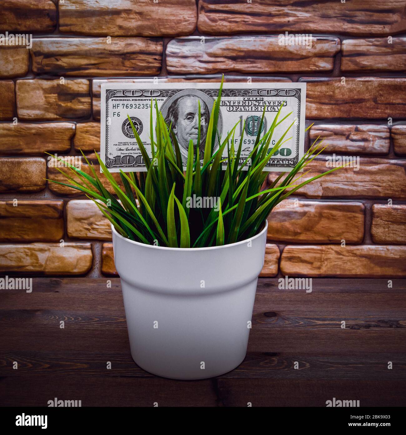 Tutu plant hi-res stock photography and images - Alamy
