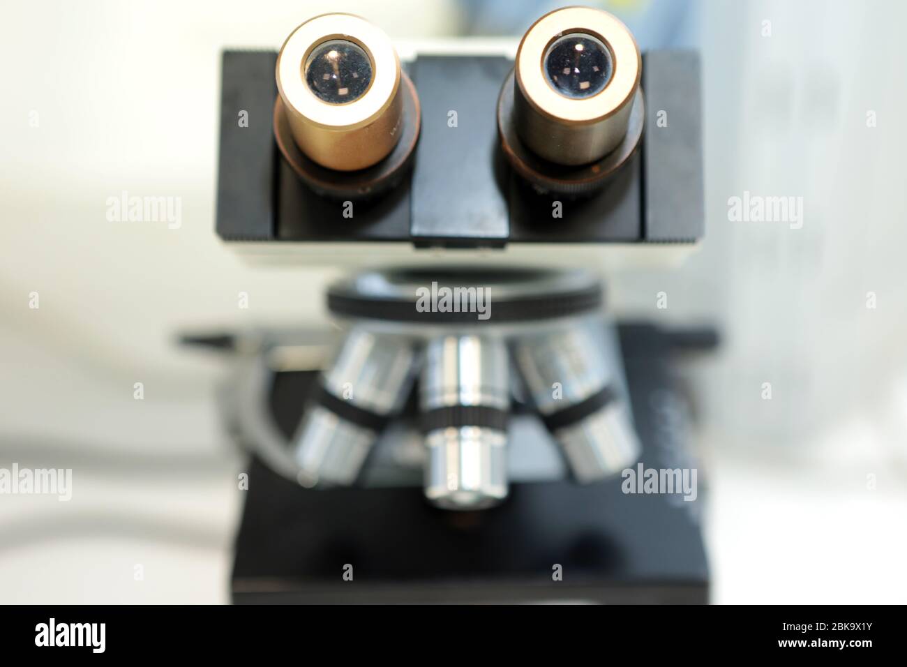A woman and a man study the structure of the drug pellets under a ...