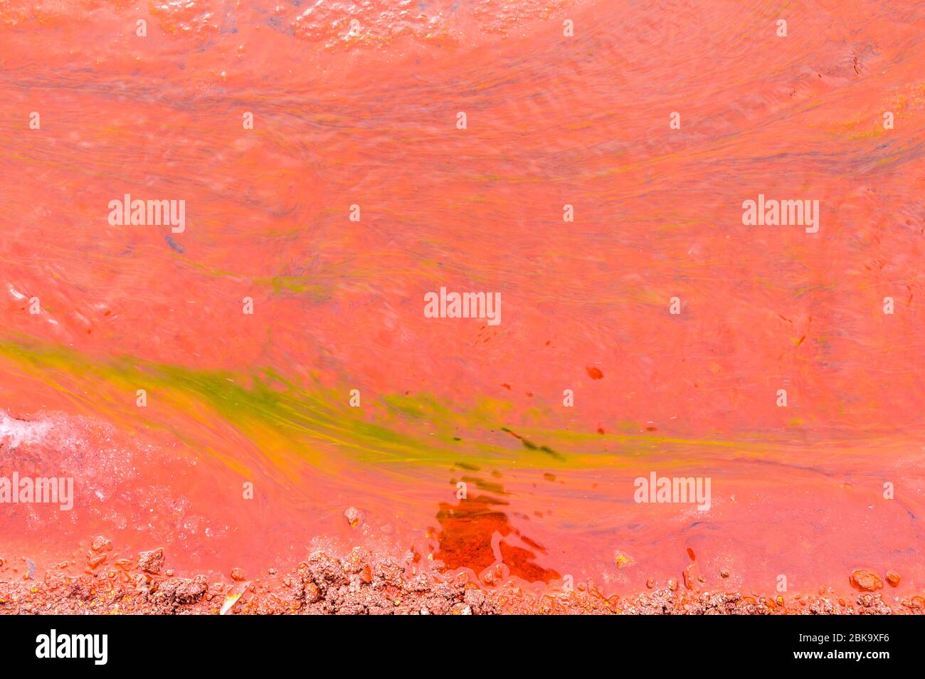 Green scum hi-res stock photography and images - Alamy