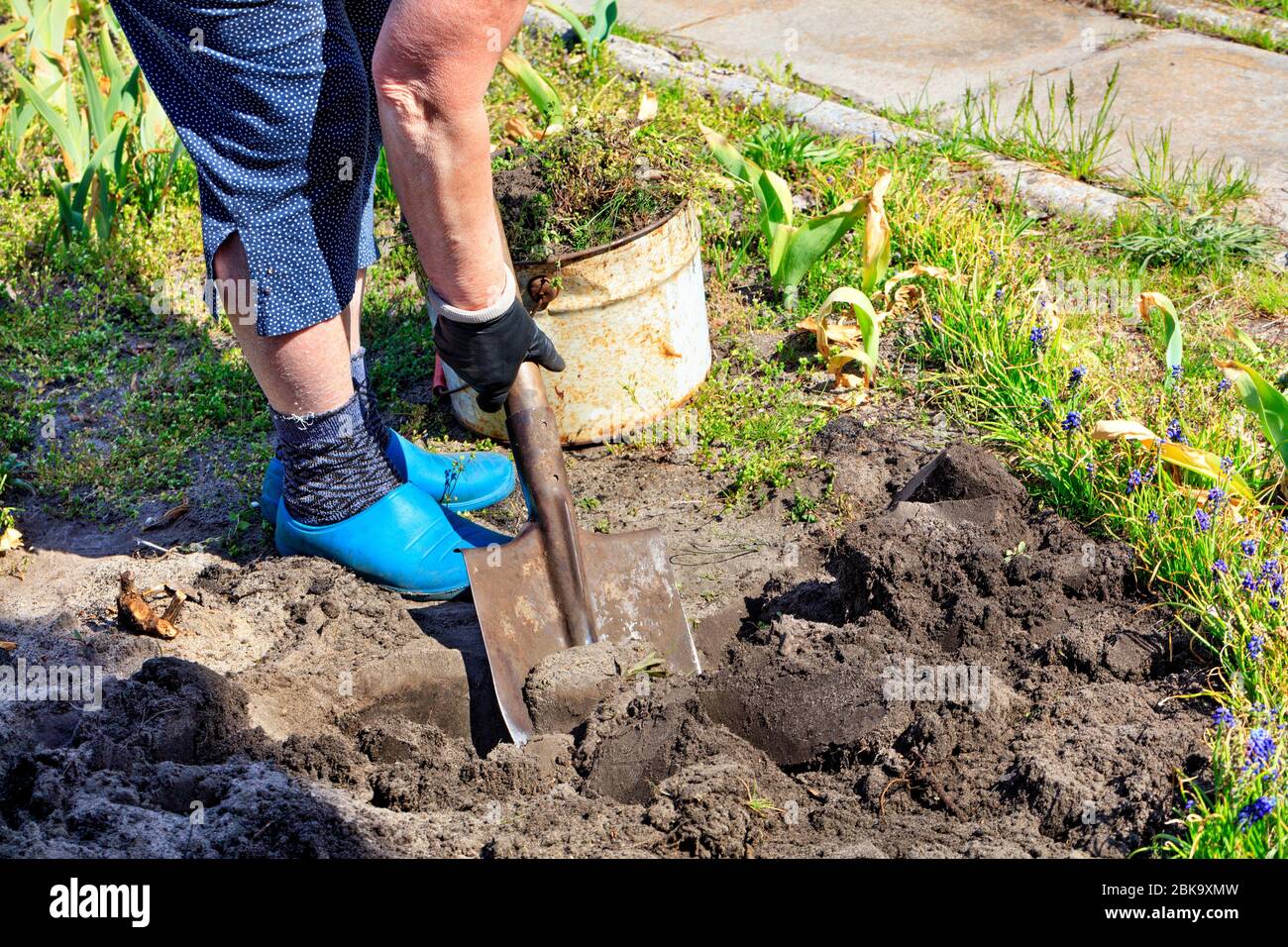 Remove weeds by hand hi-res stock photography and images - Alamy