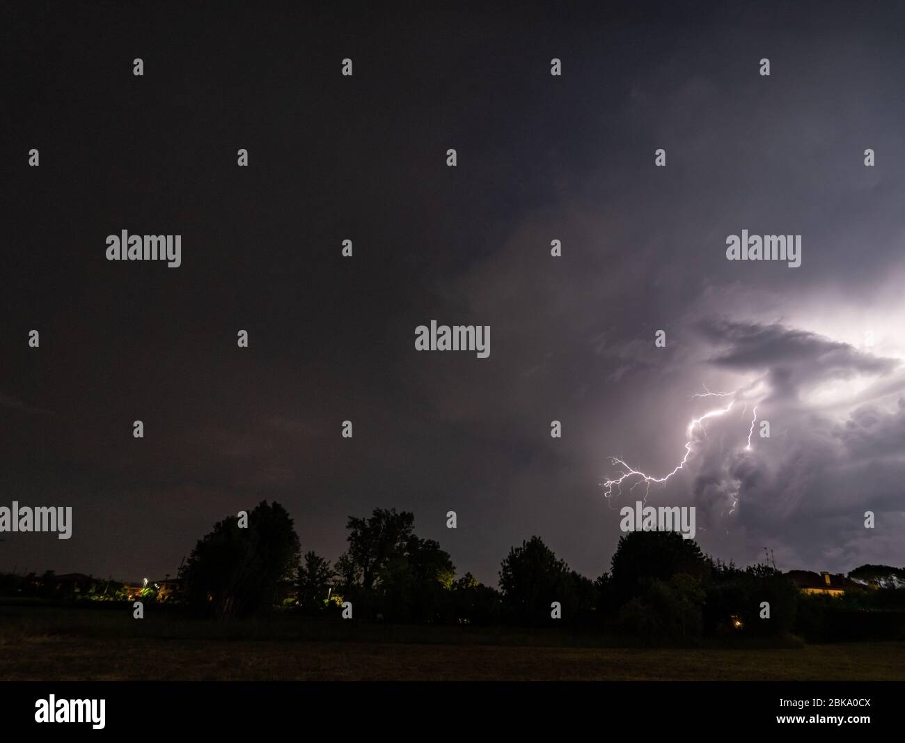 Shadow lightning tree hi-res stock photography and images - Alamy