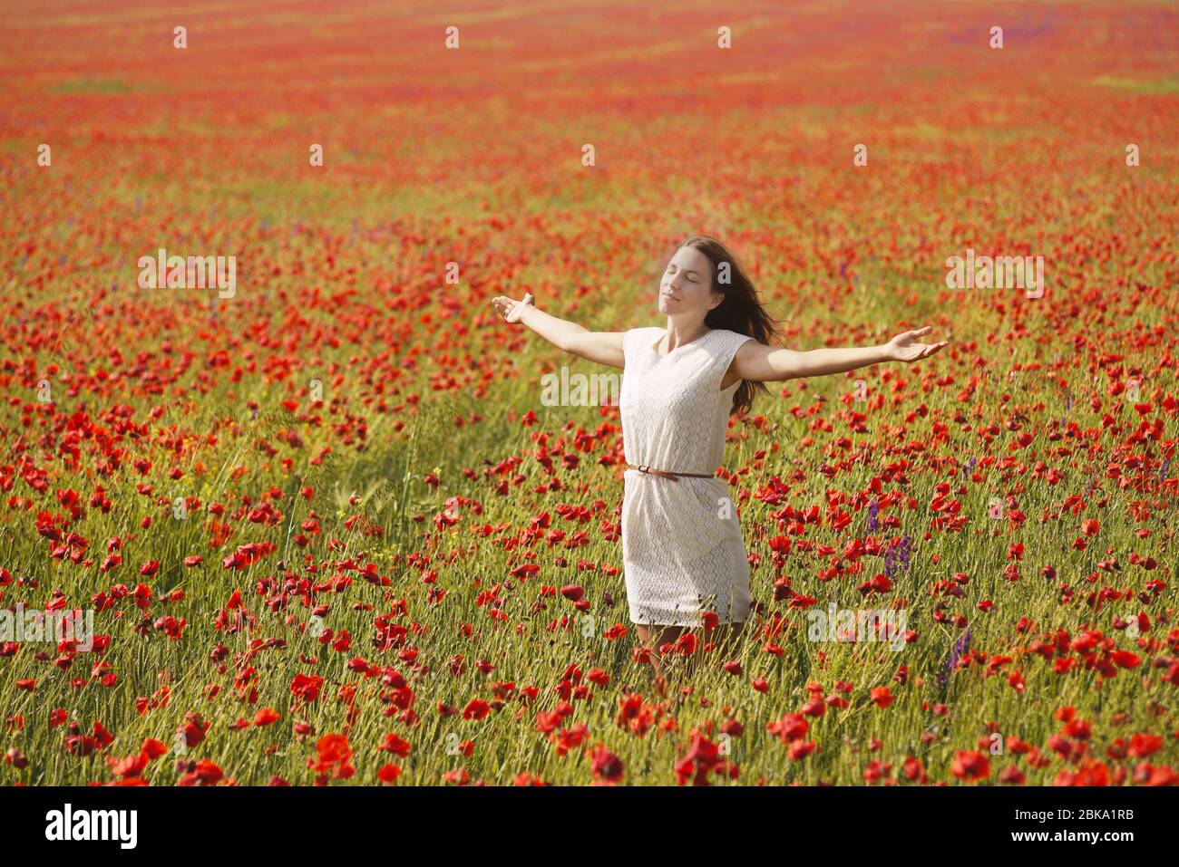 Woman in poppy field hi-res stock photography and images - Alamy