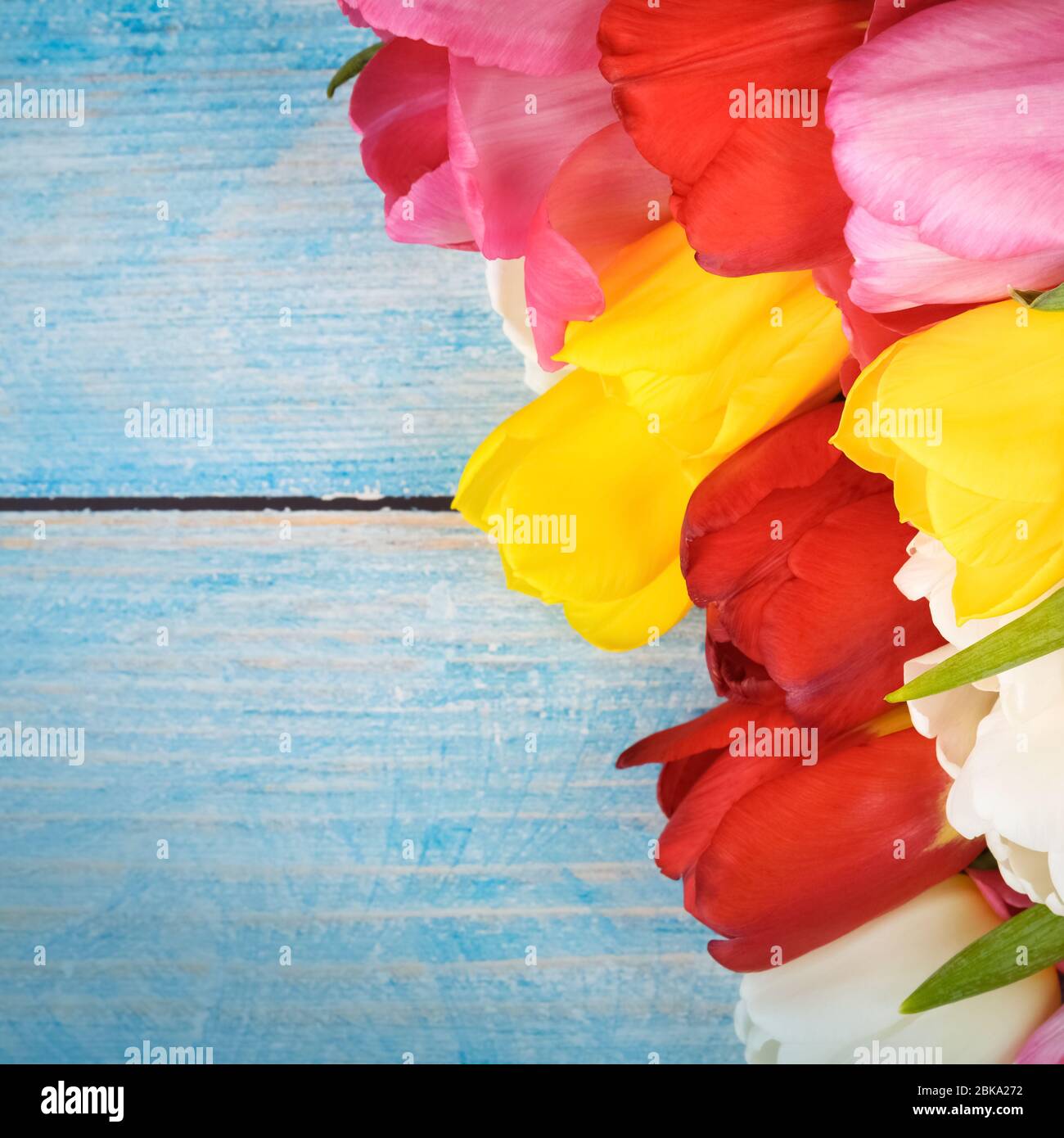 Bright bouquet of multi-colored tulips close-up on wooden boards of ...