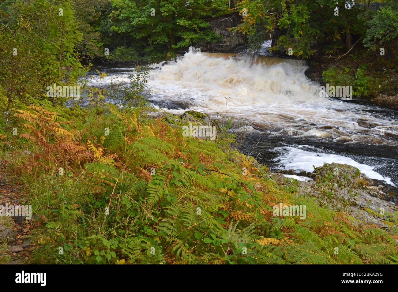 Waterfall River Leven, Kinlochmore, Scotland Stock Photo - Alamy