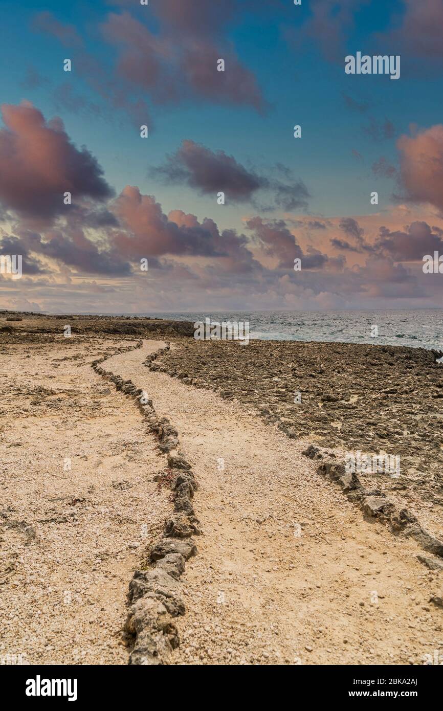 Black coral beach hi-res stock photography and images - Alamy