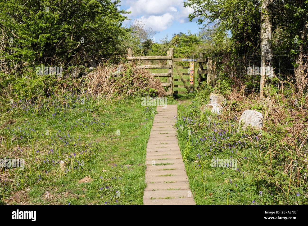 Wildlife trust reserve hi-res stock photography and images - Alamy