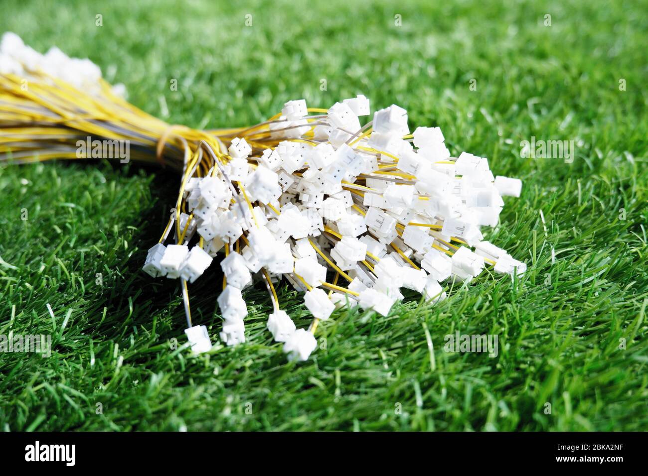 Wire lead joint with yellow cable put on green grass Stock Photo - Alamy
