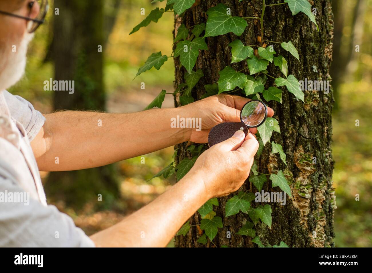 Putting under magnifying glass. Round magnifying lens held in male ...