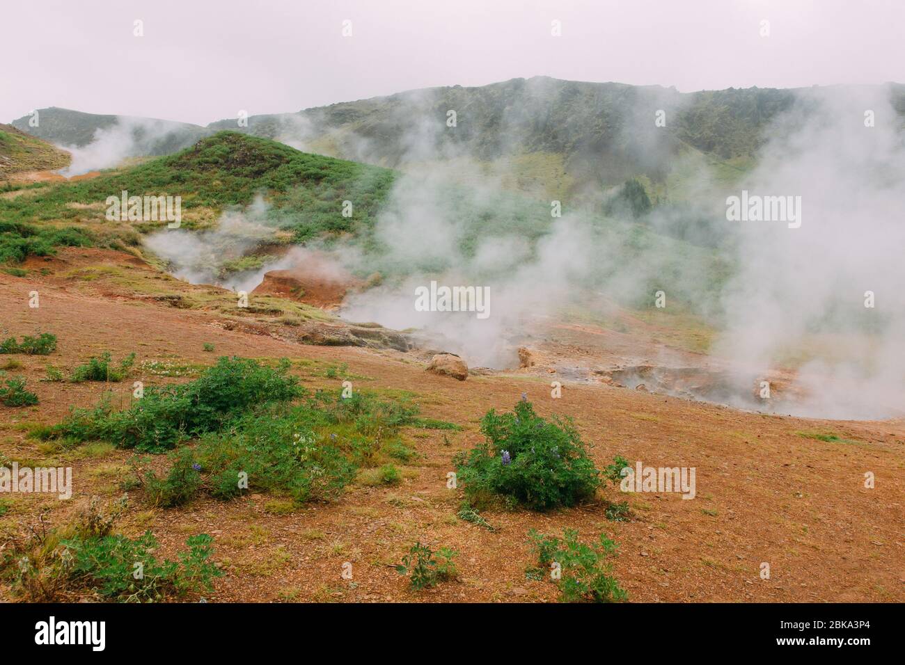 Hveragerdi geothermal park hi-res stock photography and images - Alamy