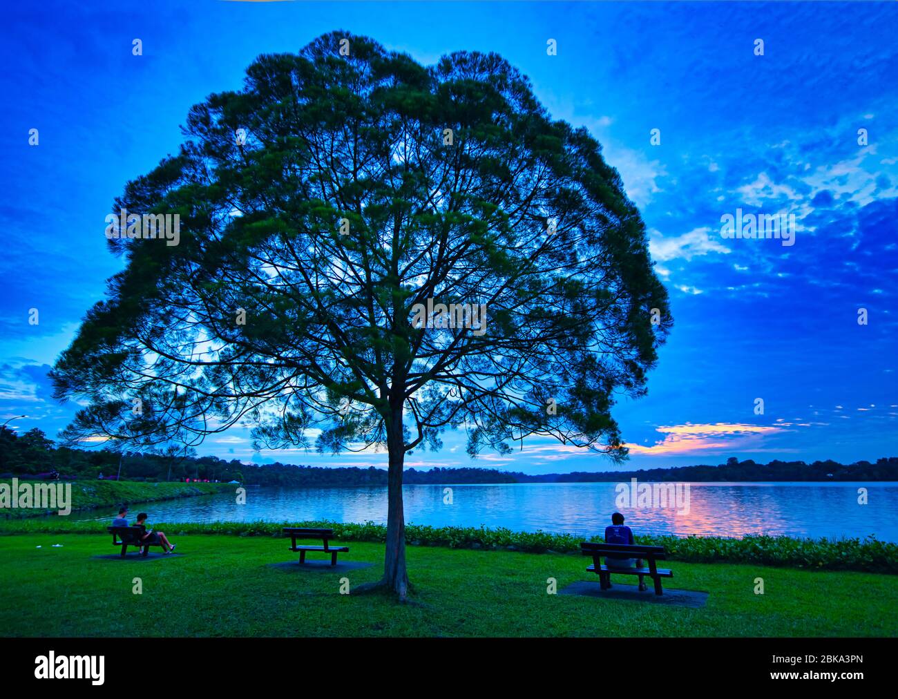 Upper seletar reservoir hi-res stock photography and images - Alamy