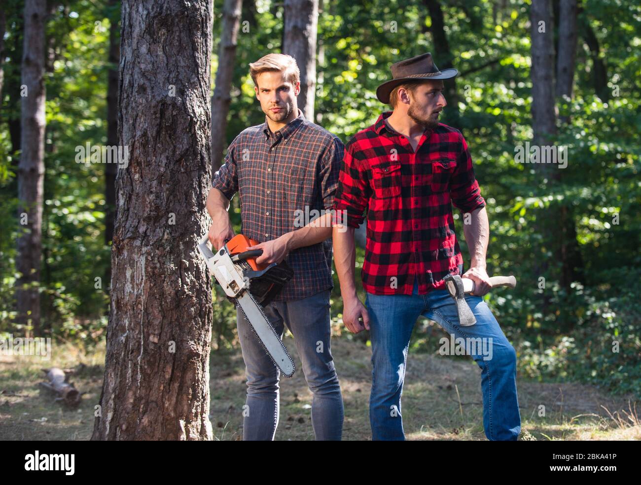 poachers in forest. deforestation. ranger or poach. man forester use ...