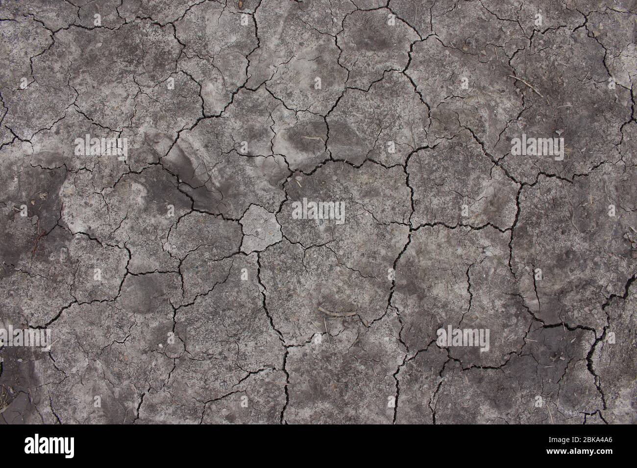 A photograph looking down, close up, of dry parched earth / soil in a ...