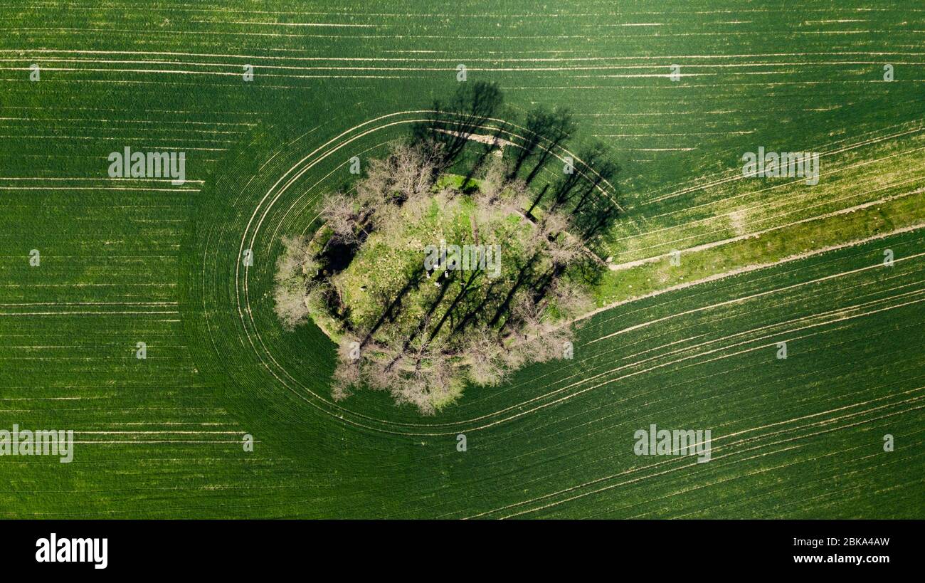 Aerial top down nature patterns hi-res stock photography and images - Alamy