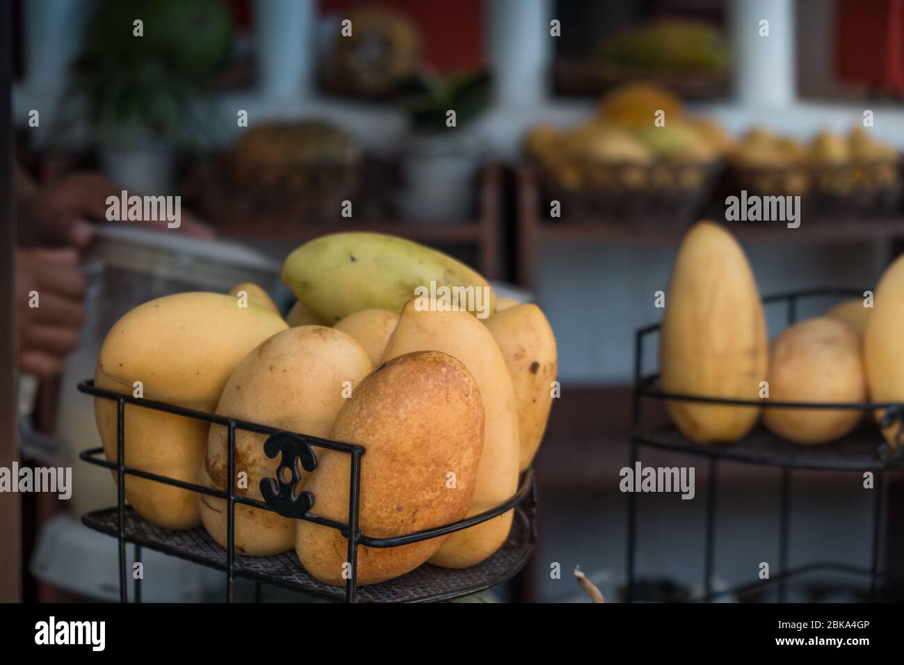 Yellow mango fruit in a basket at a street stall on Boracay island ...