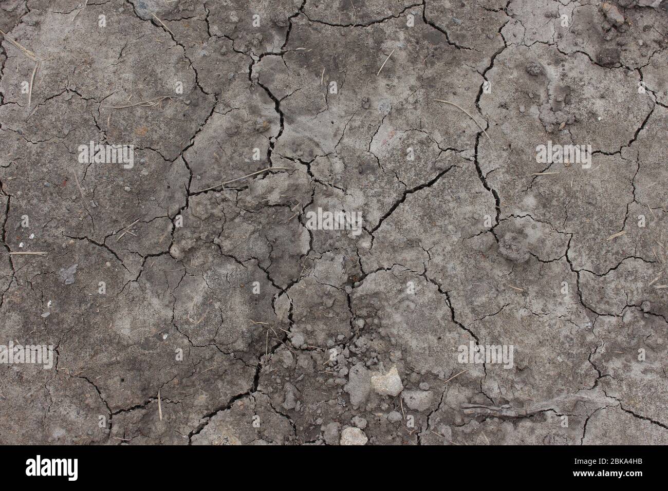 Earth soil hi-res stock photography and images - Alamy