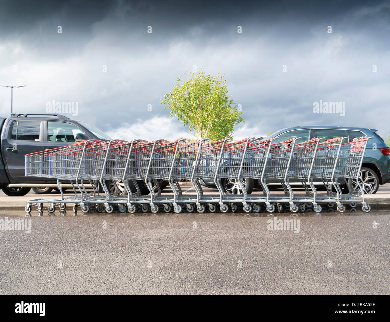 Costco Shopping Trolleys Stock Photo - Alamy