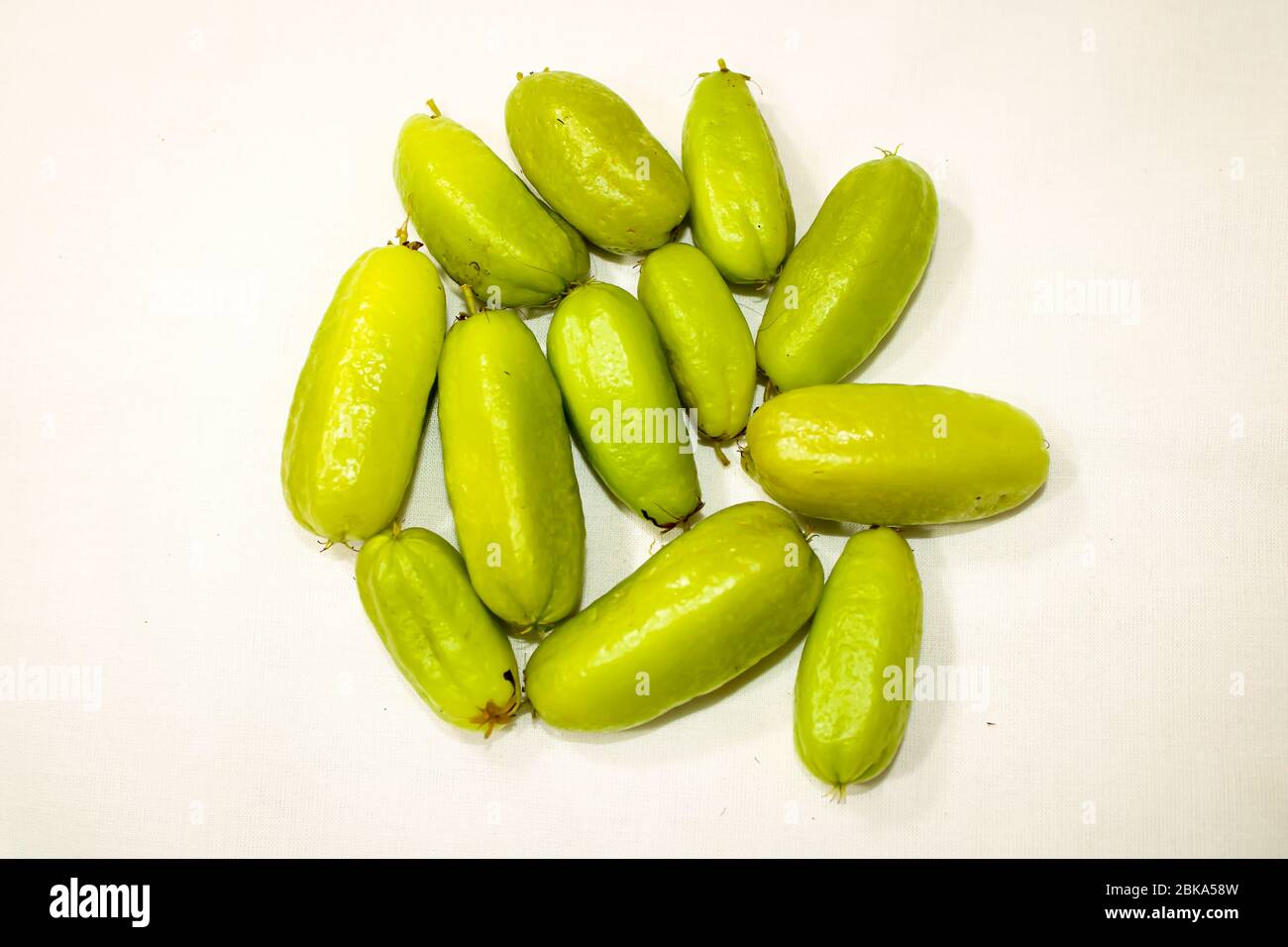 Fresh Bilimbi Bilimbing Cucumber 28Averrhoa Bilimbi 29 fruits on tree ...