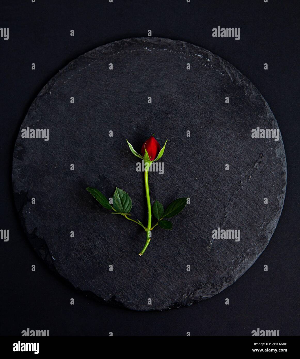 Tombstone slab hi-res stock photography and images - Alamy