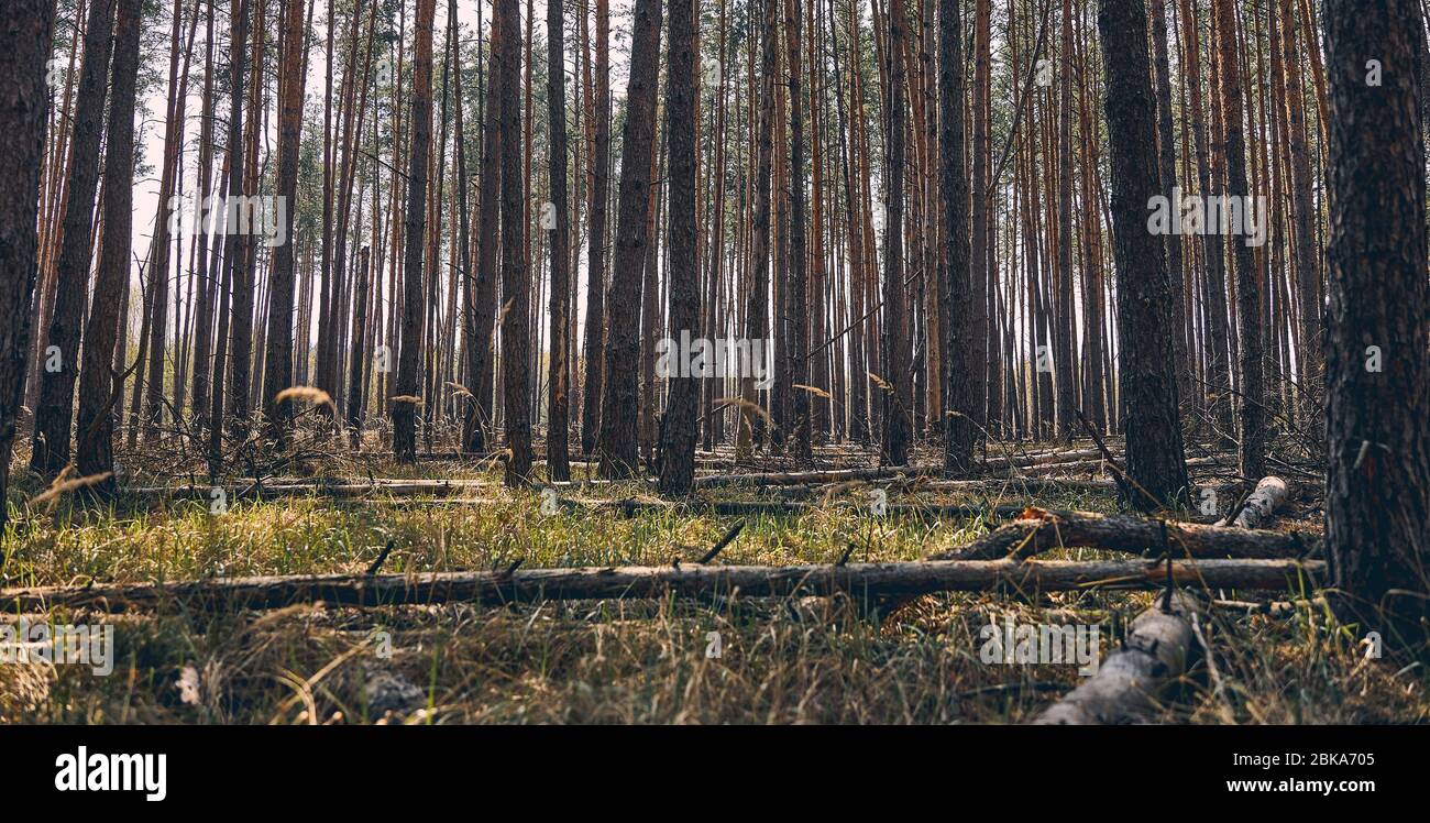 Temperate climate zone hi-res stock photography and images - Alamy