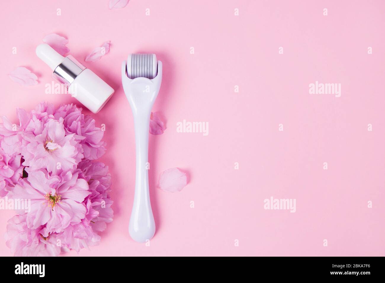 Microneedling Derma Roller System. Medical micro needling therapy ...