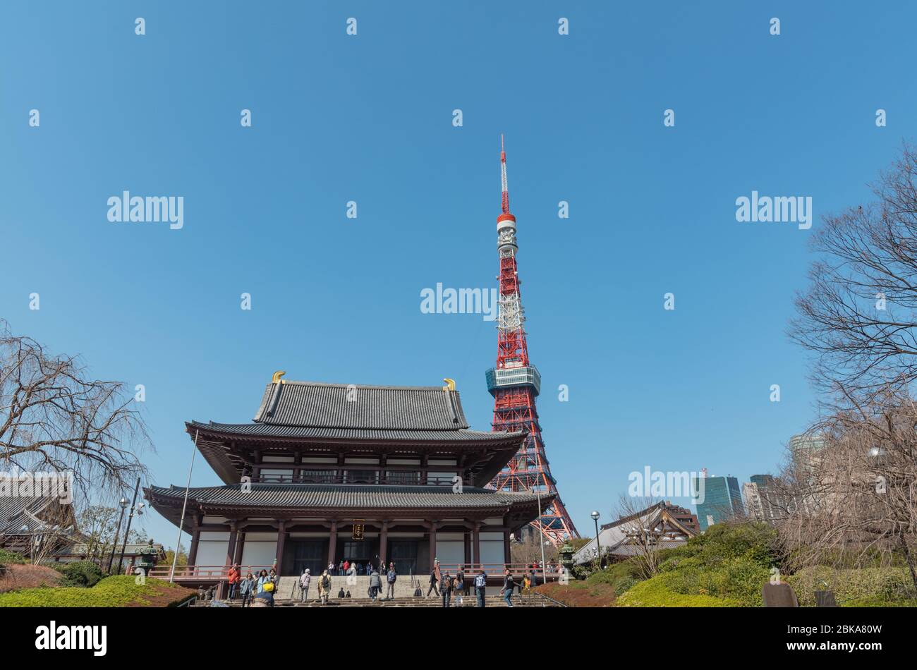 Temple and Tokyo Tower Stock Photo - Alamy