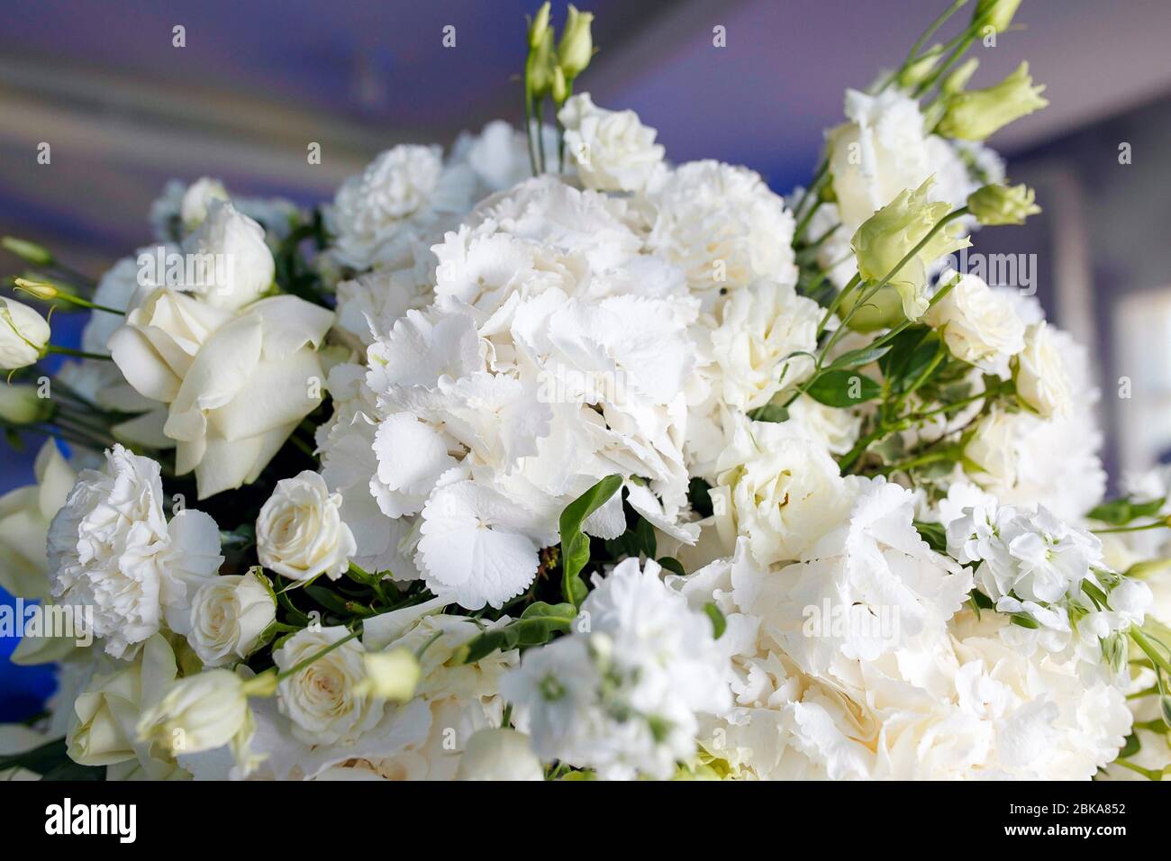 a large bouquet of white roses, texture Stock Photo - Alamy