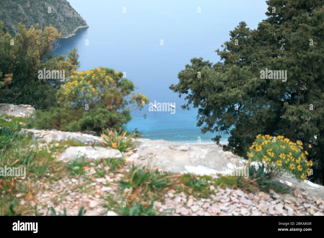 big bay in the sea, top view Stock Photo - Alamy