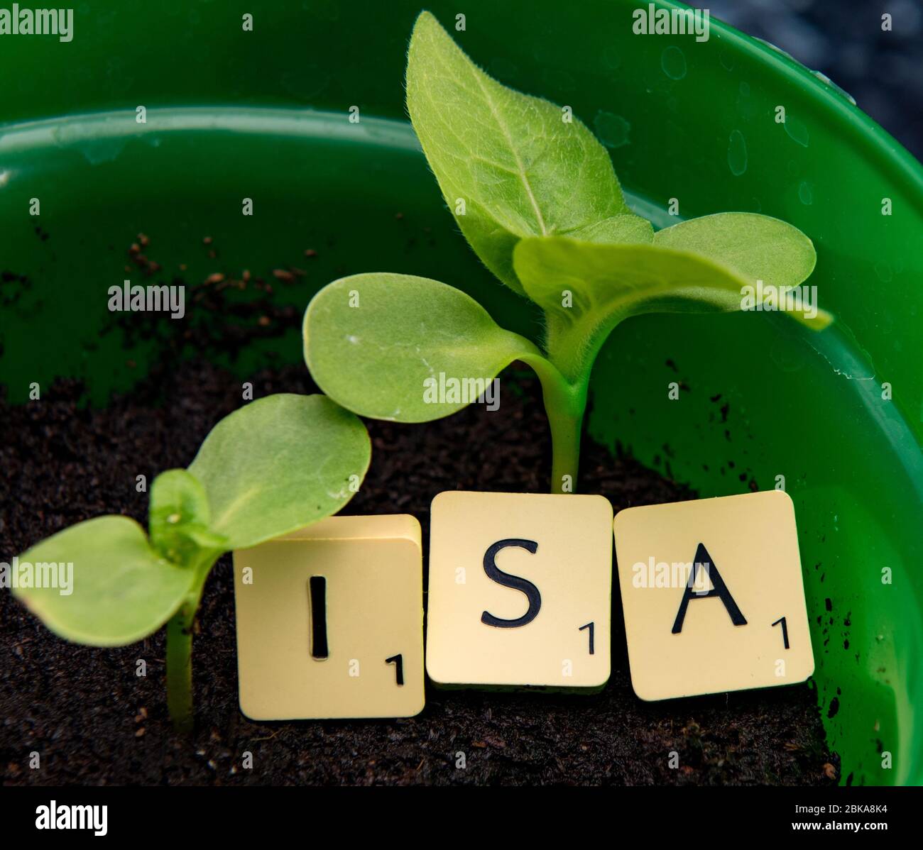 New green shoots hi-res stock photography and images - Alamy