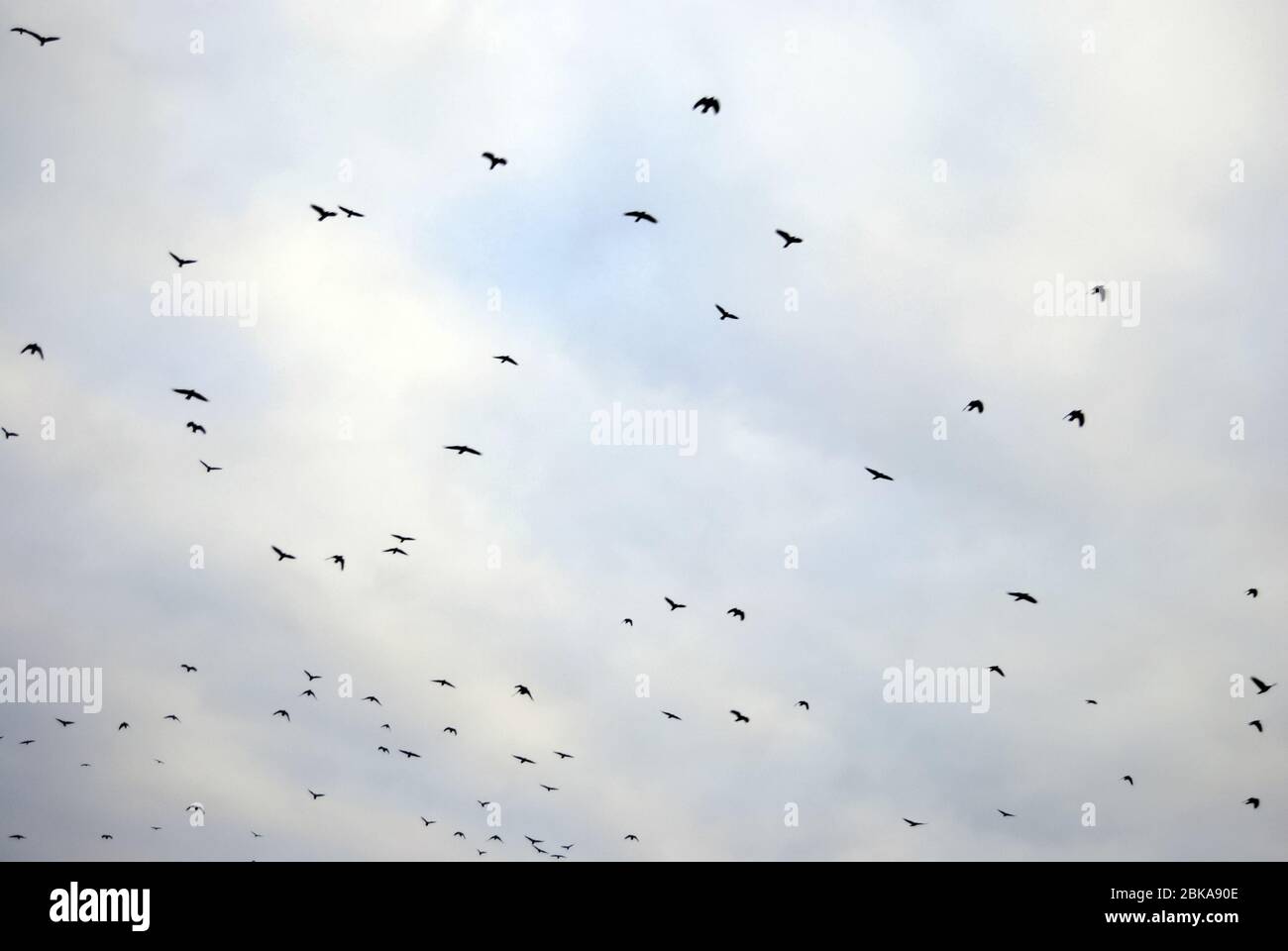 skies in different hours of day with color and clouds Stock Photo - Alamy