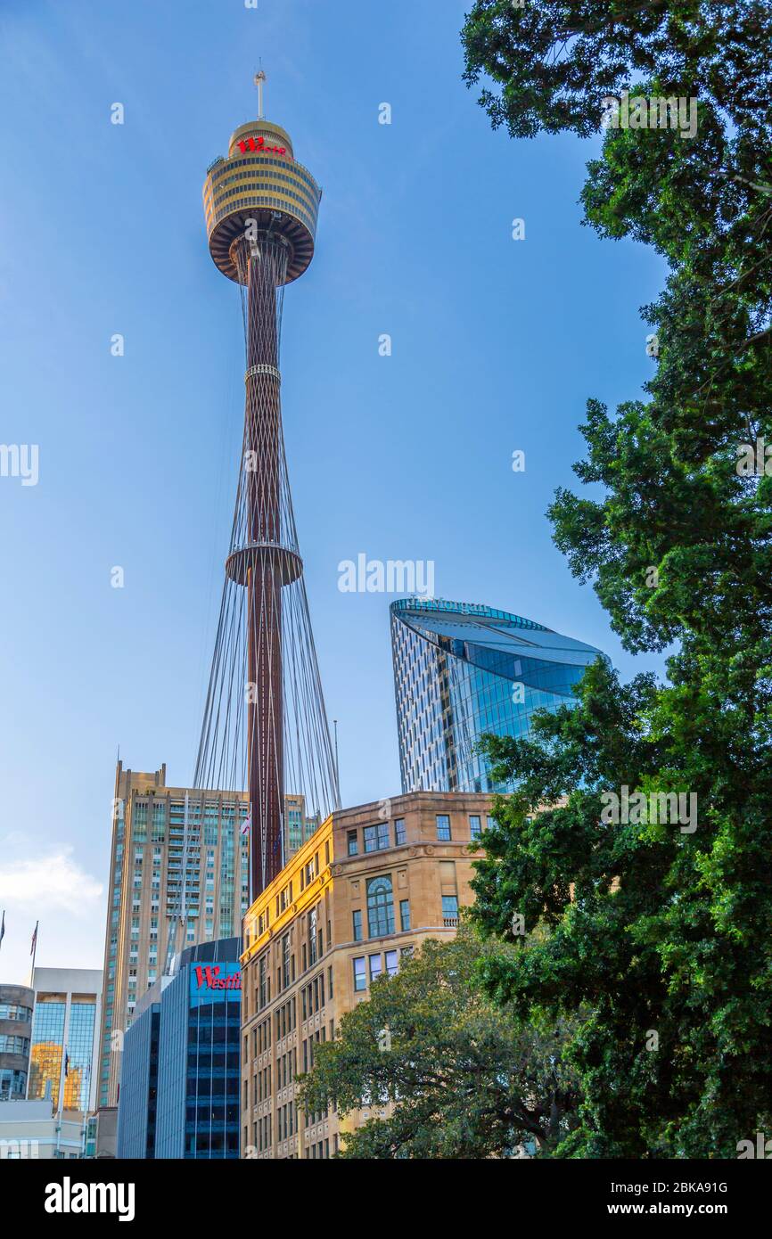 View of AMP Centre-point Tower at sunset, Sydney, New South Wales ...