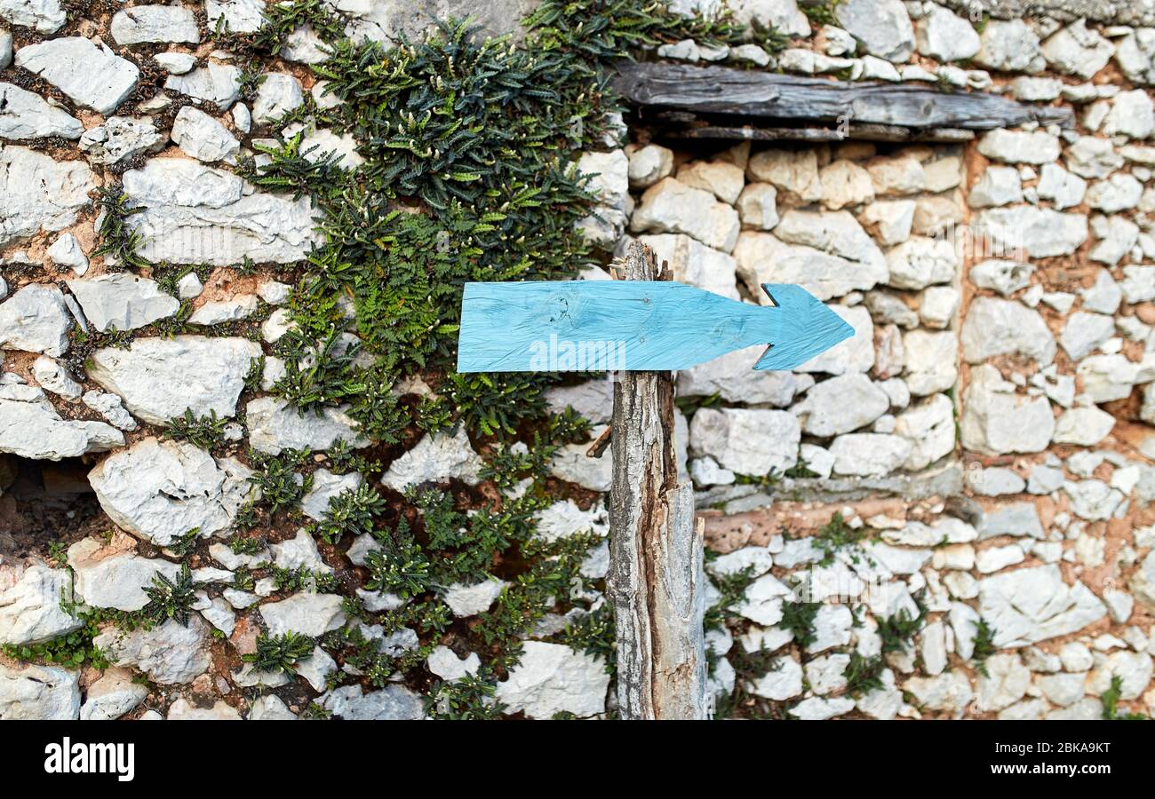 Old Pointer High Resolution Stock Photography and Images - Alamy