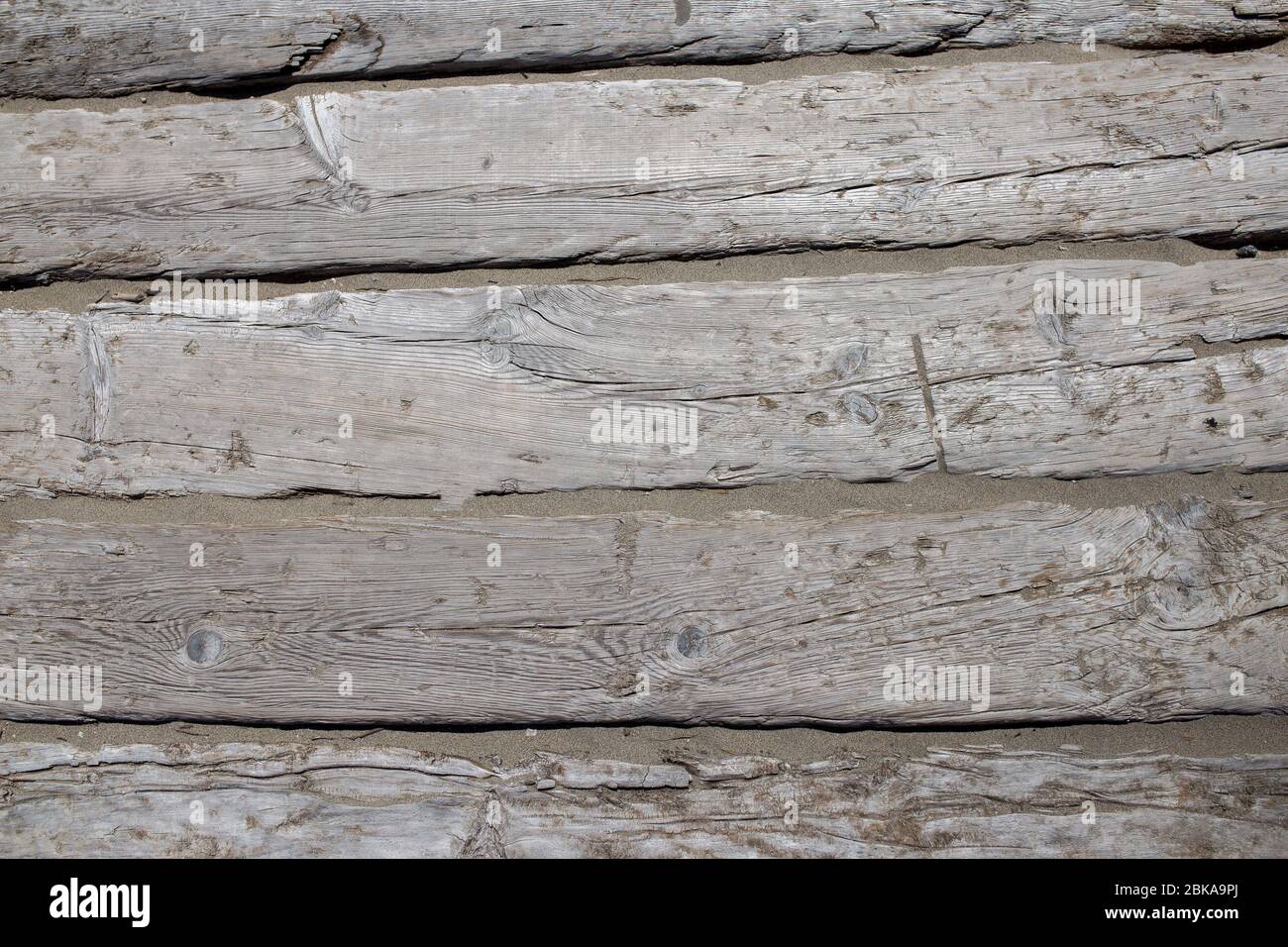 texture of old sea wood, white wood Stock Photo - Alamy