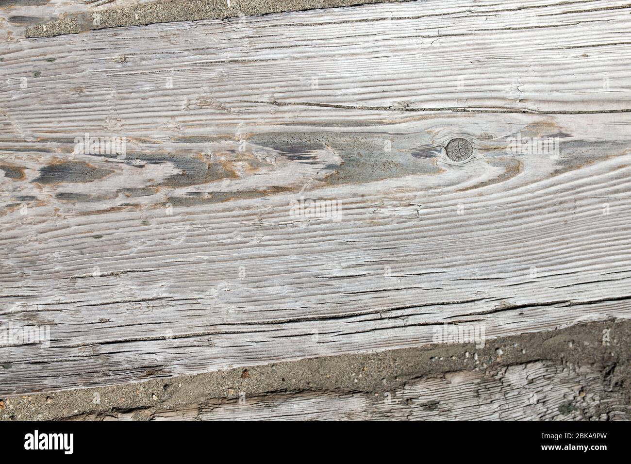 texture of old sea wood, white wood Stock Photo - Alamy