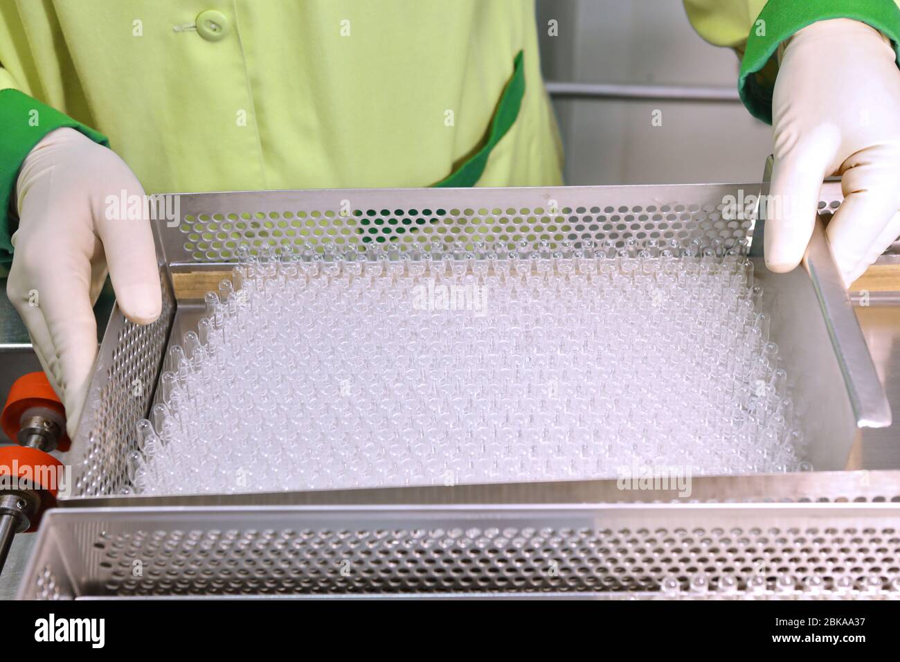 Visual control of ampoules with medicine. A woman works on an ampoule ...