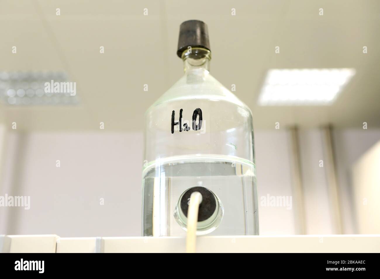 Conducting a chemical experiment in a laboratory. Colored flasks with ...