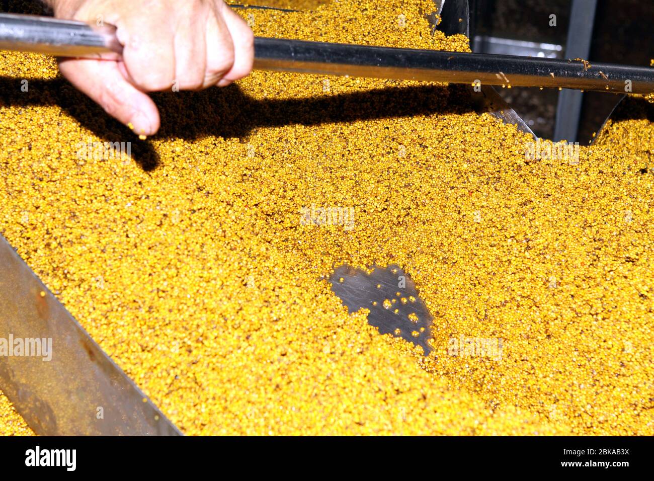 Extrusion food manufacturing hi-res stock photography and images - Alamy