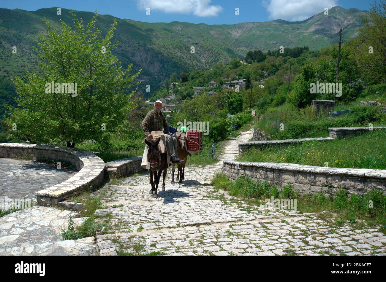 Kalarites, Greece - June 06, 2019: Unidentified man with donkeys in ...