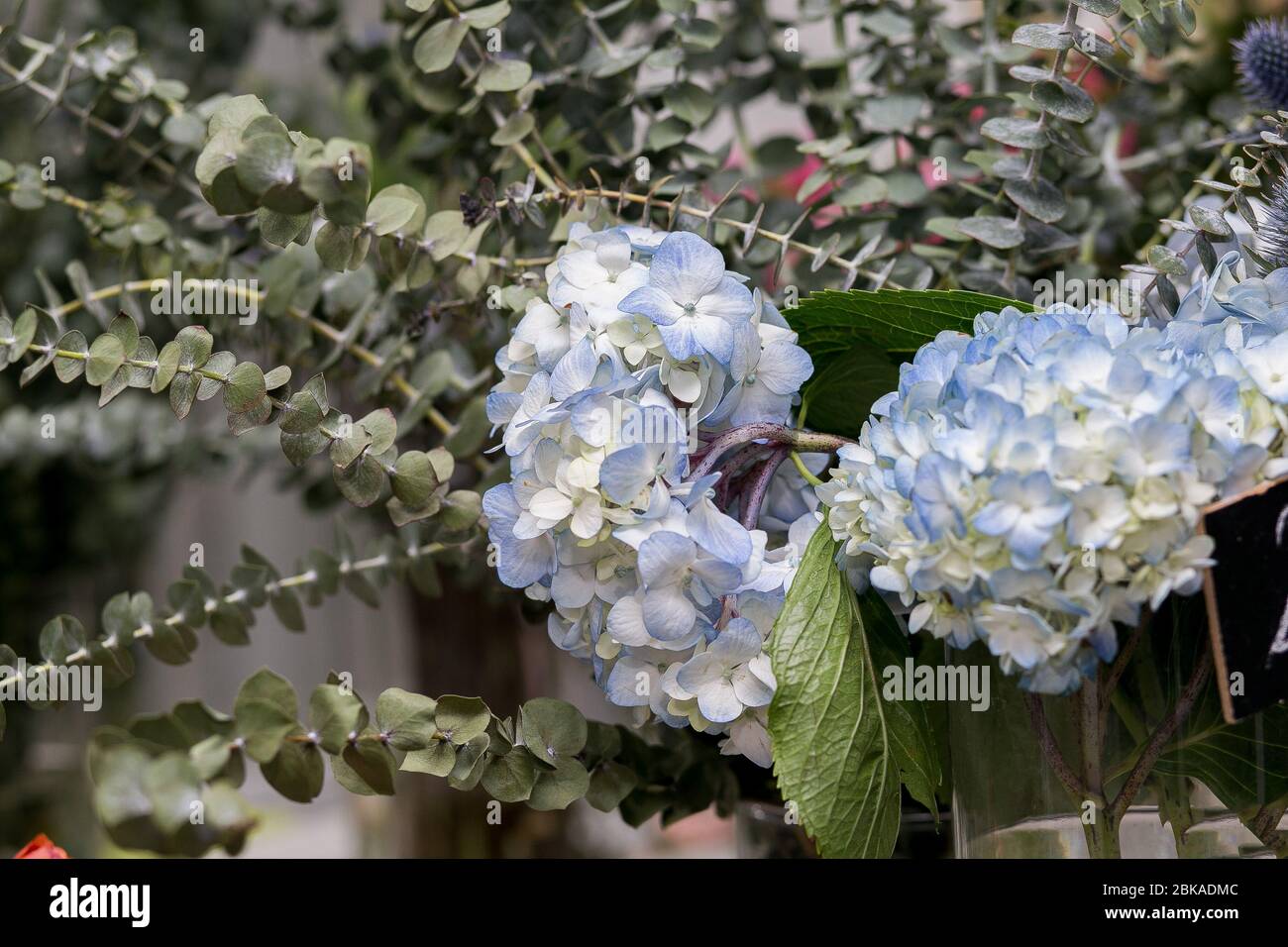 flower Ikibana on a black background, bouquet in a glass vase, ebony ...