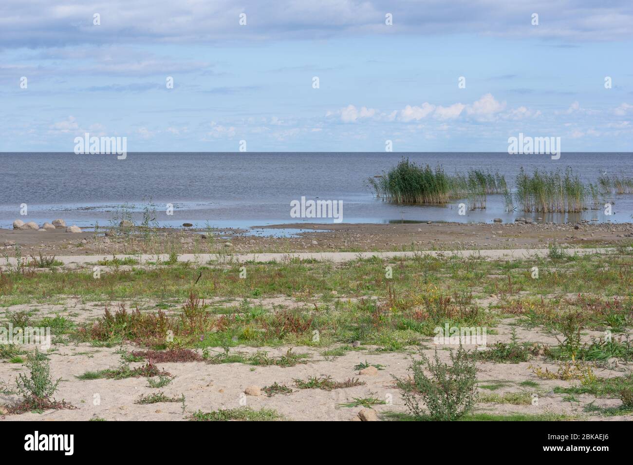 Lake peipsi estonia hi-res stock photography and images - Alamy