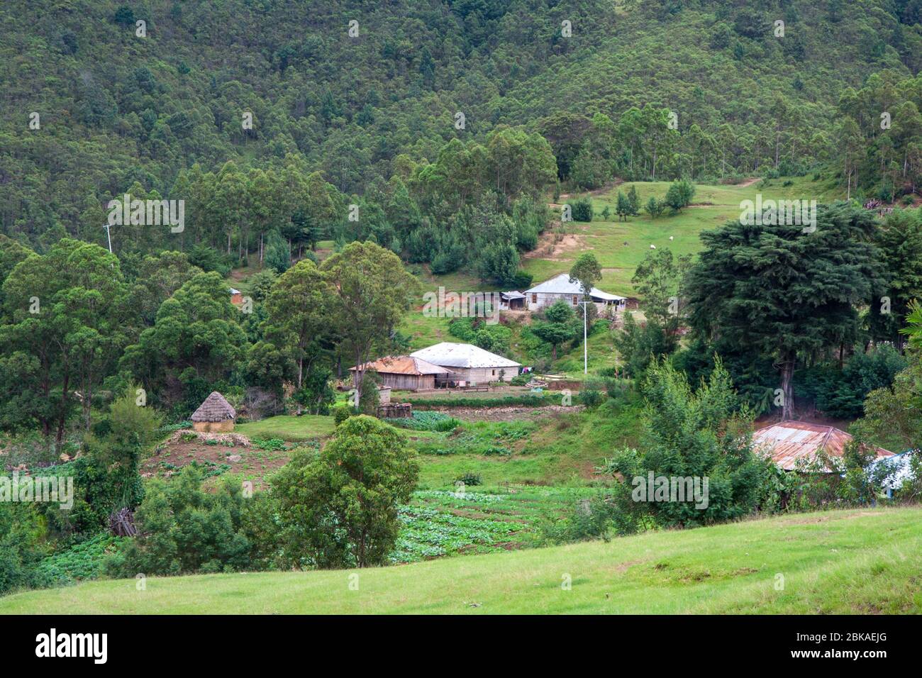 Maubisse is a historic town in the hills 70 km south of Dili, in Ainaro ...