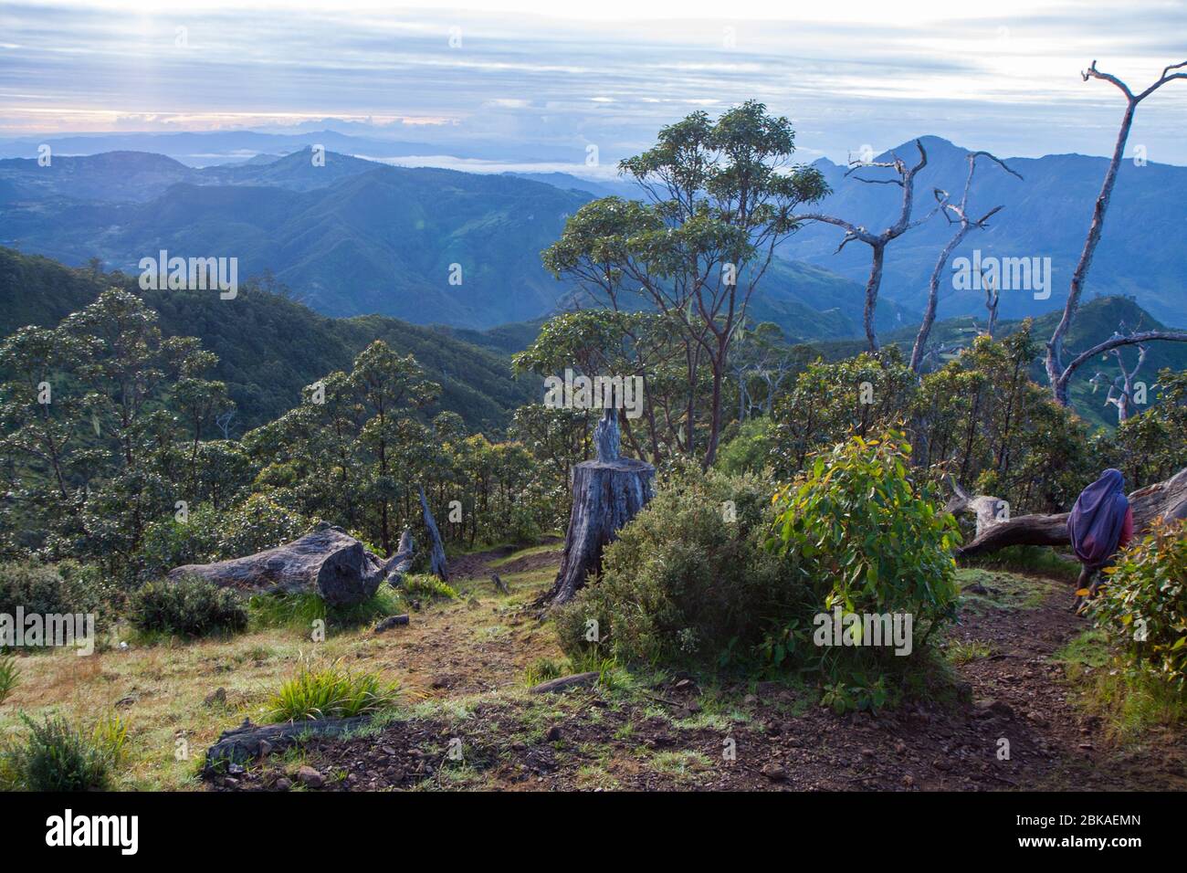 República de timor leste hi-res stock photography and images - Alamy