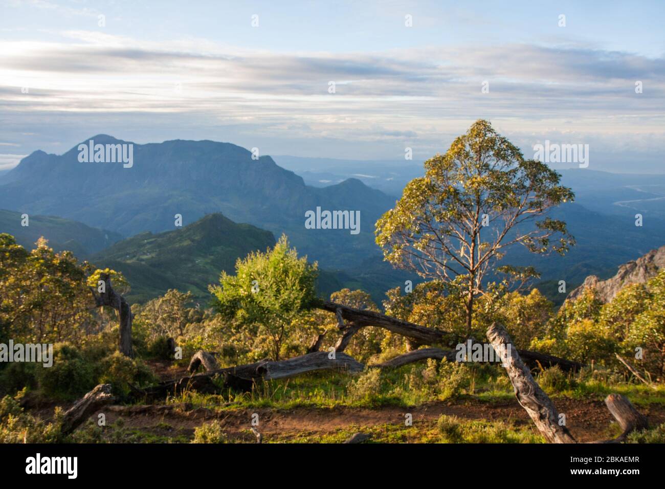 República de timor leste hi-res stock photography and images - Alamy